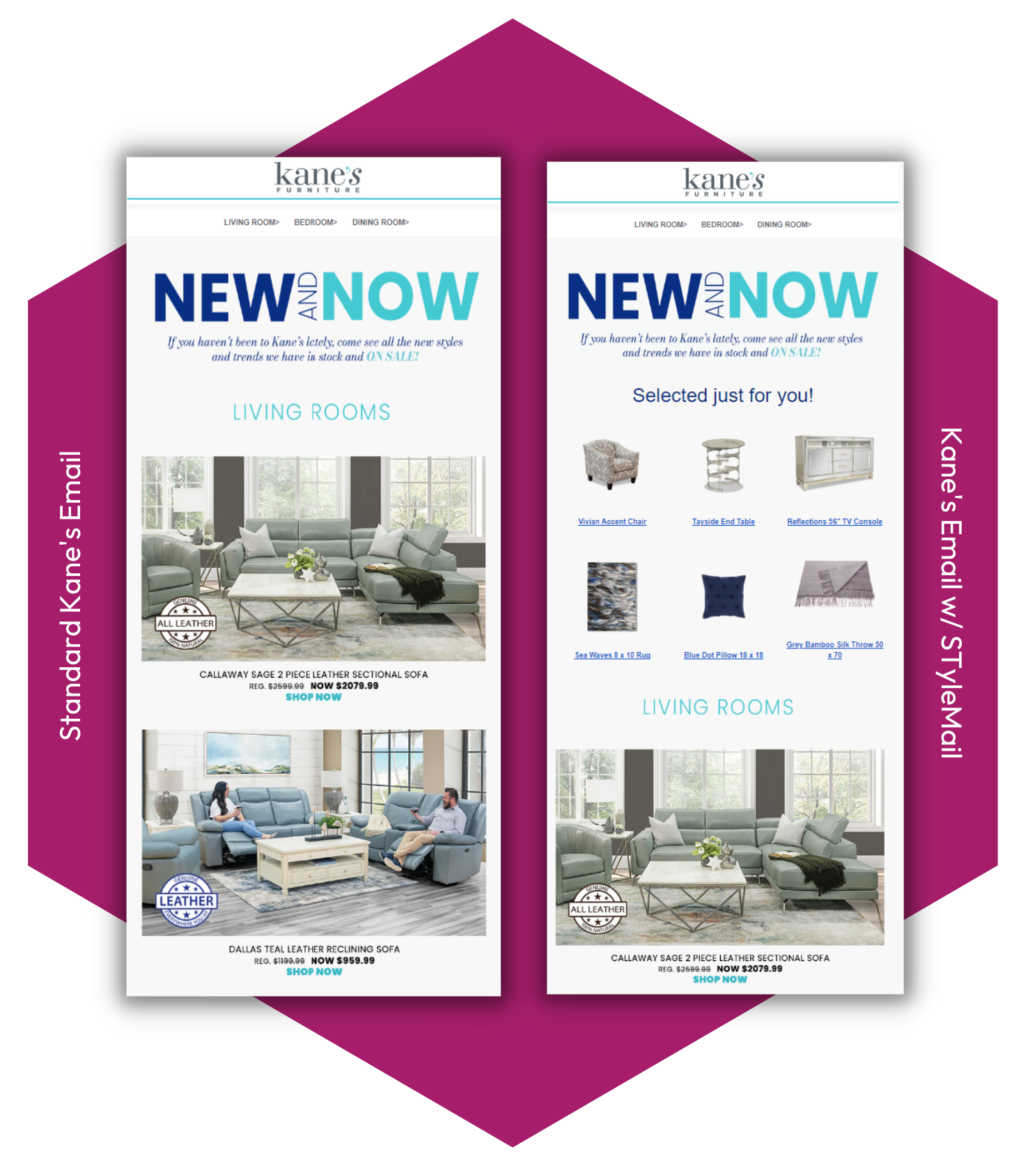 Kane's STyleMail Case Study - Shoptelligence